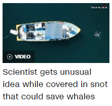 Uh… | Eigenblogger