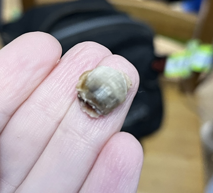 PUT IT IN THE TOENAIL BAG! | Eigenblogger