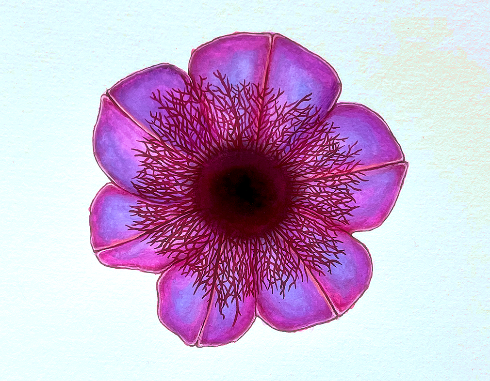 Petooooooonya | Eigenblogger