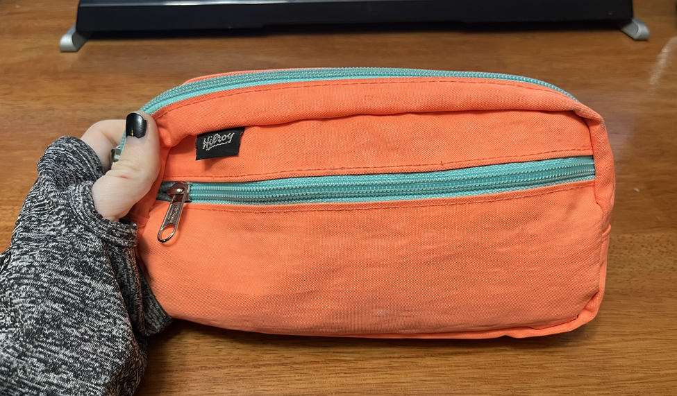 Me: “I DON’T NEED NO PURSE!” | Eigenblogger